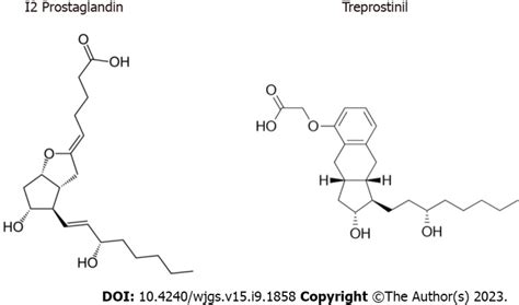 Hepatic Ischemia Reperfusion Syndrome And Its Effect On The Cardiovascular System The Role Of