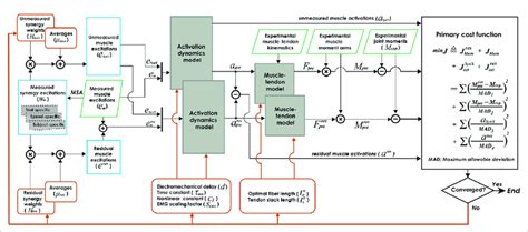 Flow Chart Of Emg Driven Model Calibration With Synergy Extrapolation
