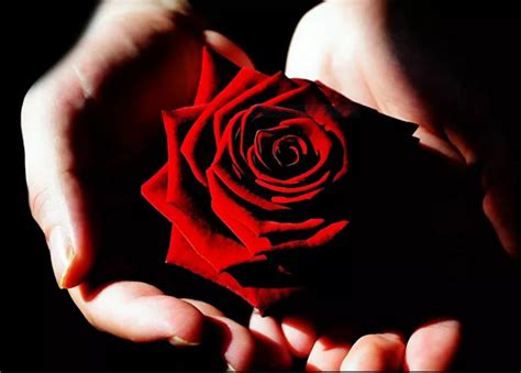 England Wales May Criminalise ‘hymen Repair And Virginity Tests To