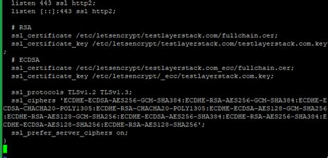 Layerstack Tutorials Layerstack How To Enable Tls 13 In Nginx Service Of Linux Cloud