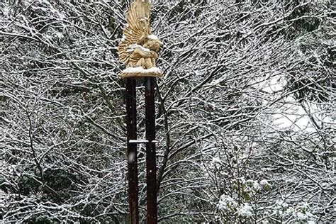 Bimblegumbie Crackenback High Country Online