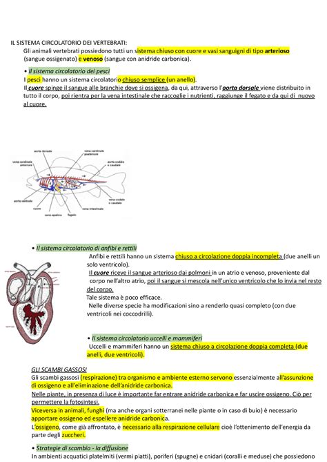 Appunti Presi A Lezioni Appunti Di Ecologia Docsity