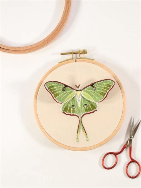 Cute Autumnal Embroidered Pumpkins Tutorial Crewel Ghoul