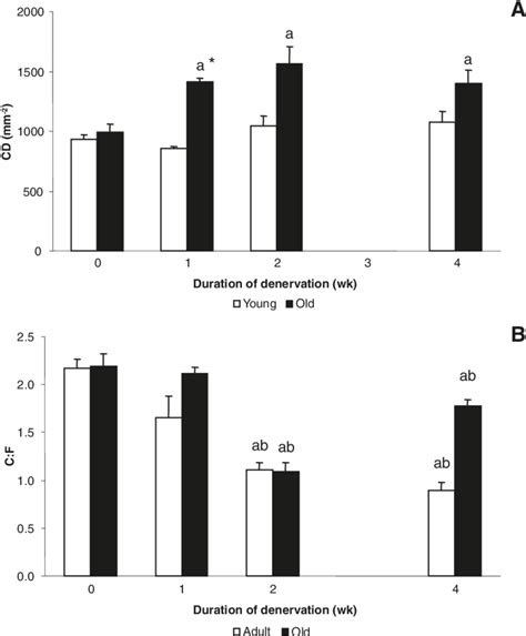 A Anatomical Capillary Density Cd And B Capillary To Fiber Ratio