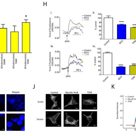 Mycobacterial Cell Wall Lipids Induce Npc Phenotypes In The Absence Of