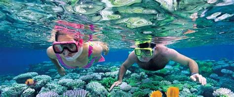 Unleash Your Inner Explorer With Snorkeling In Panama City Fl