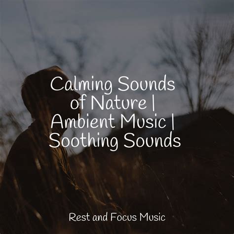 Calming Sounds Of Nature Ambient Music Soothing Sounds Album By