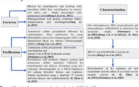 Figure 4 From Current Review Of Mycotoxin Biodegradation And