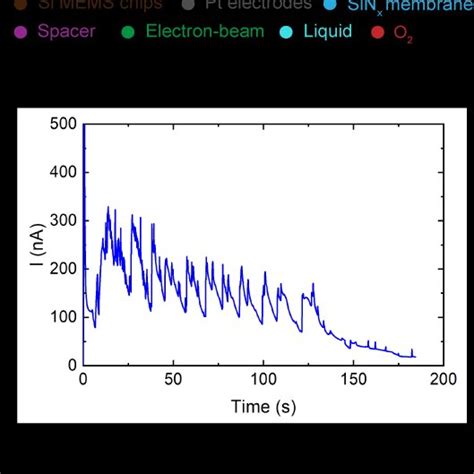 Probing The Electrolytic Molecular Oxygen Formation In Liquid Phase