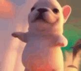 Pibble Dance Pibble Dancing  Pibble Dance Pibble Pibble Dancing
