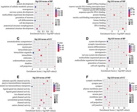 Transcriptome Wide 5 Methylcytosine Functional Profiling Of Long Non C