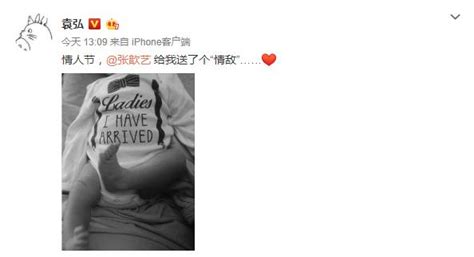 情人節產子，張歆藝給袁弘送了個「情敵」。 每日頭條