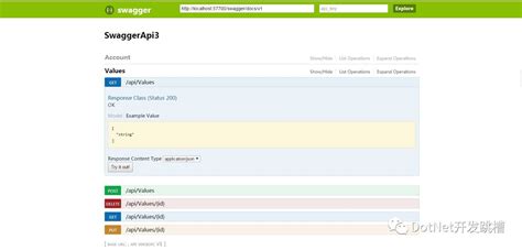 Swagger Web Api