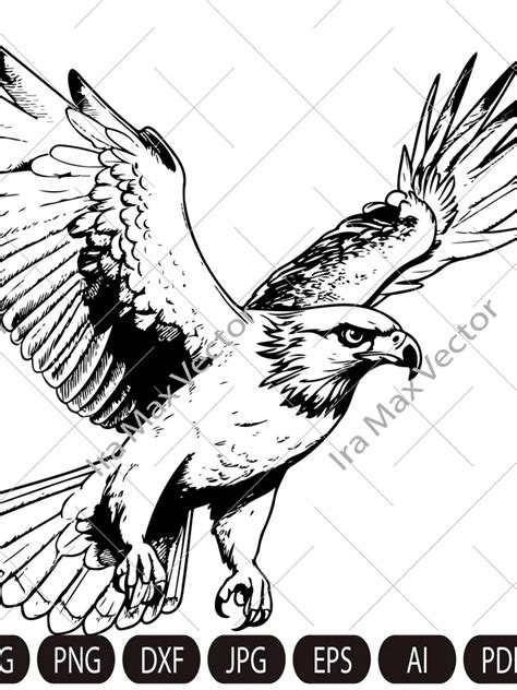 Free Falcon Head Clip Art Download Free Falcon Head Clip Art Png