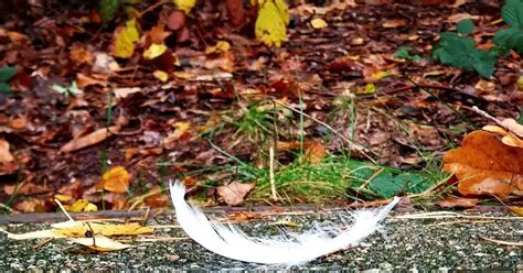 Pfarrerin Barbara Schipper über Die Nötige Leichtigkeit Im Leben