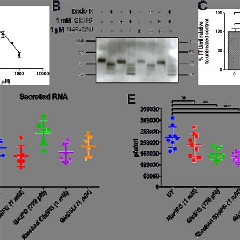 Simplified Pathway For Biosynthesis Of N Linked Glycans Through The
