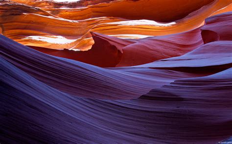Bing Windows 11 Wallpaper