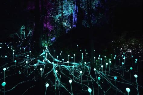 Dream Forest Langkawi La Natura Preistorica Diventa Hi Tech In Malesia