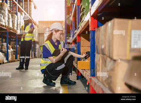 Warehouse Worker Inventory Clerk Staff Stock Employee Work In Cargo