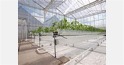 Hoe Data De Nederlandse Tuinbouw Zijn Voorsprong Teruggeeft
