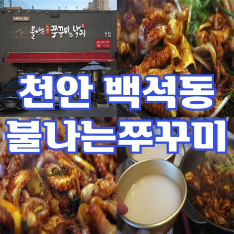 천안 불나는쭈꾸미 백석동 맛집 철판쭈꾸미삼겹 후기 가족 외식 네이버 블로그