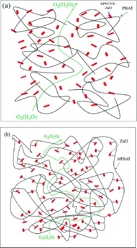 Schematic Of Molecular Permeation Path For Oxygen Or Water Vapor A Download Scientific