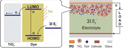 Structure Of A Typical Dssc Download Scientific Diagram