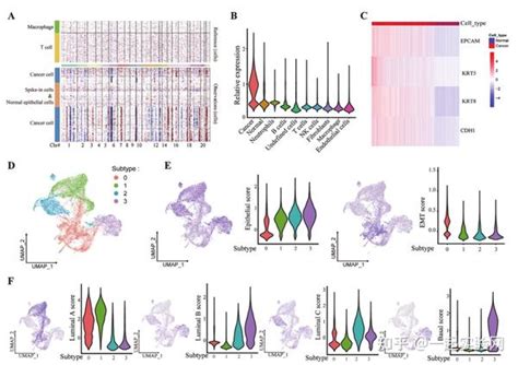 单细胞 Rna Seq 揭示了前列腺癌细胞生态系统中超强于亚克隆进化的发育层次 知乎