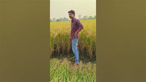 धनवा के भाव तनी बड़े दे तू धनिया Youtube