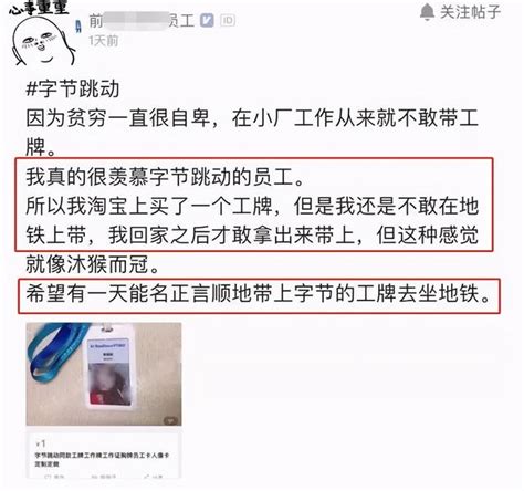 不該做家政，不該去街道，不該賣豬肉，那北大清華畢業生該幹嘛？ 每日頭條