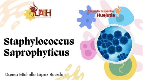 Staphylococcus Saprophyticus Danna Michelle Udocz