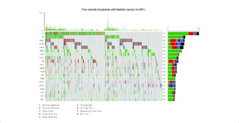 Assessment Of The Frequency Of Mutated Genes And Mutation Patterns In Download Scientific