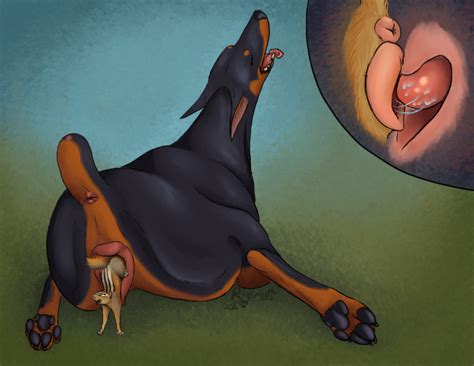 Rule 34 2026 Anatomically Correct Anatomically Correct Genitalia