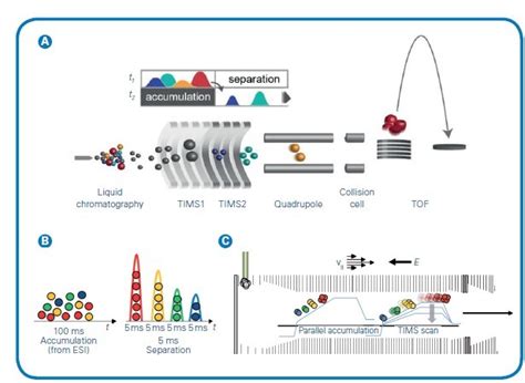 Technological Advances In Maldi Imaging And Spatial Proteomics For
