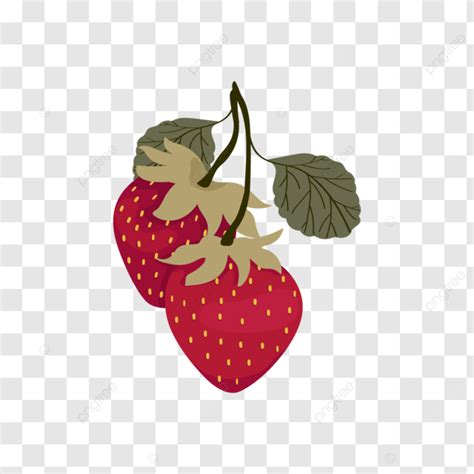 Hand Drawn Strawberry Fruit Vector Strawberries Hand Drawn