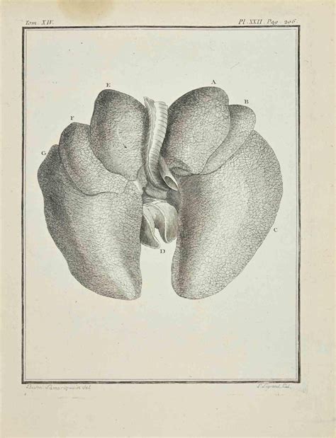Louis Legrand The Organ Etching By Louis Legrand 1771 For Sale At