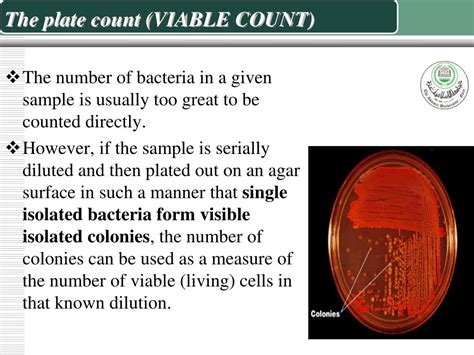 Ppt The Serial Dilution Method Of Bacteria Enumeration Powerpoint Presentation Id 3749654