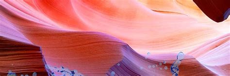 Melissa Melissamonroy Twitter