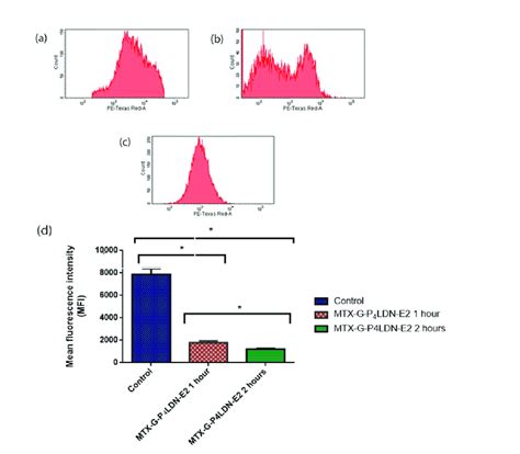 Internalization Assay A Control Cells Without A Nanocarrier System Download Scientific