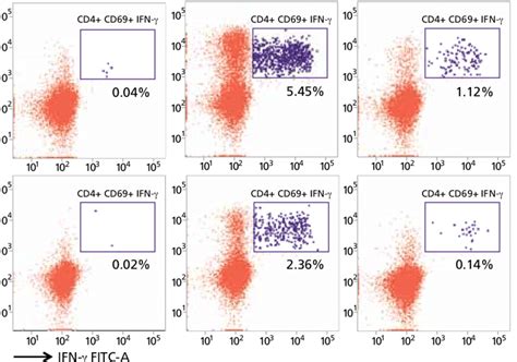 Antigen Specific Ifn γ Response In Cd4 And Cd69 Lymphocytes