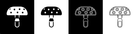 아마니타 무스카리아를 설정하거나 흑백 배경에 고립 된 Agaric 환각 두꺼비 버섯 아이콘을 비행 발견 된 유독 버섯 벡터 0