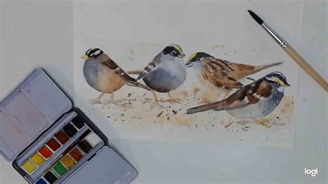 Sparrow Watercolour Tutorial