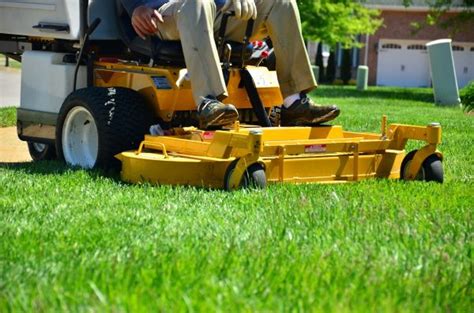 Types Of Lawn Mowers Ultimate Lawn Mower Buyers Guide MyhomeTURF