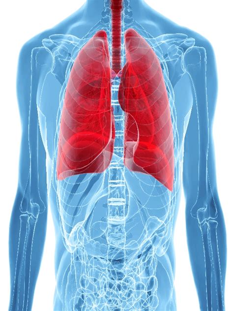 Sarcoidosis Pulmonary Treatment Mims Indonesia