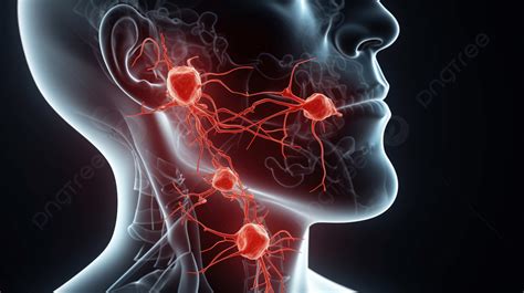 Wajah Seseorang Menunjukkan Kelenjar Getah Bening Gambar Kelenjar