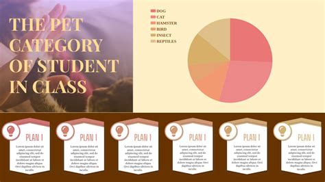 Online Pie Chart Maker