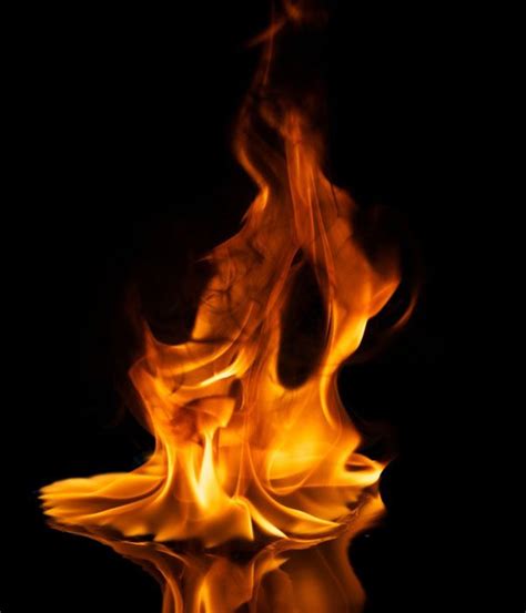 Winner Of Alan Alda S Flame Challenge Draws On Animation And Song
