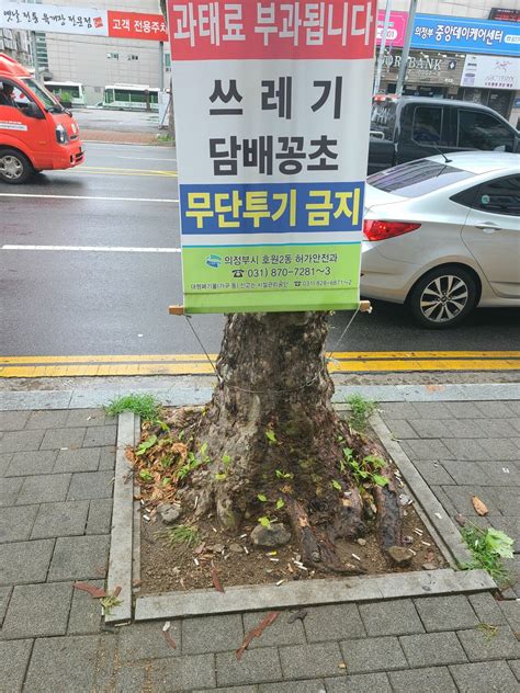 담배꽁초 무단투기 금지 과태료 부과됩니다 유머 움짤 이슈 에펨코리아