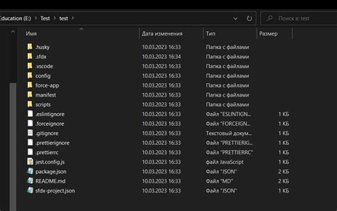 Cannot See My Folder In My Explorer Tab · Issue 176757 · Microsoft
