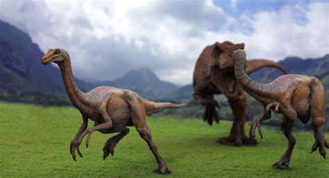 Gallimimus Facts Habitat Behavior And Diet